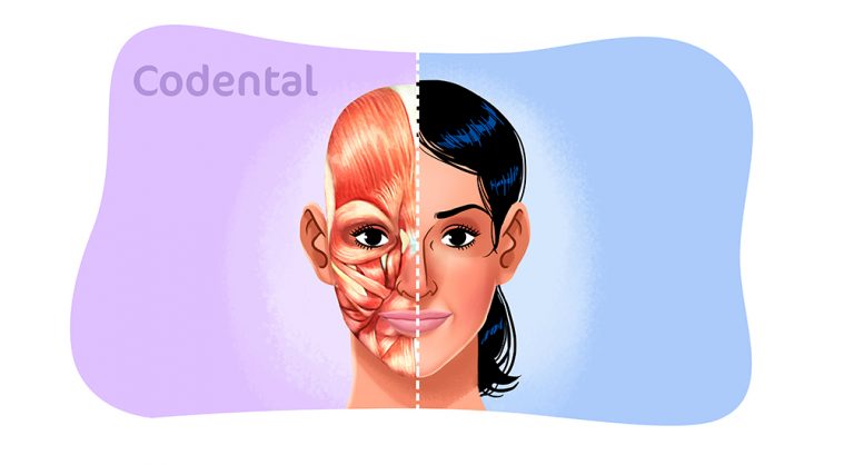 Músculos da face e suas funções - Codental Blog