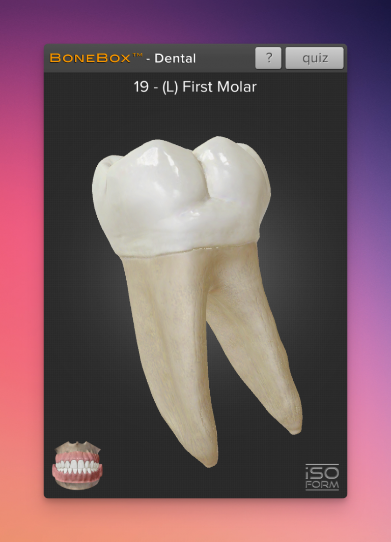 Os 14 melhores Aplicativos Odontológicos em 2025 - Codental Blog