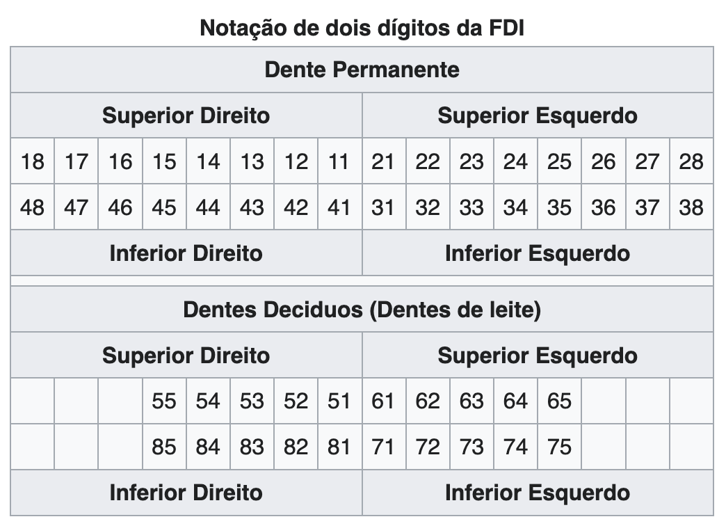 Odontograma: Benefícios, Tipos e Como Preencher – Codental Blog
