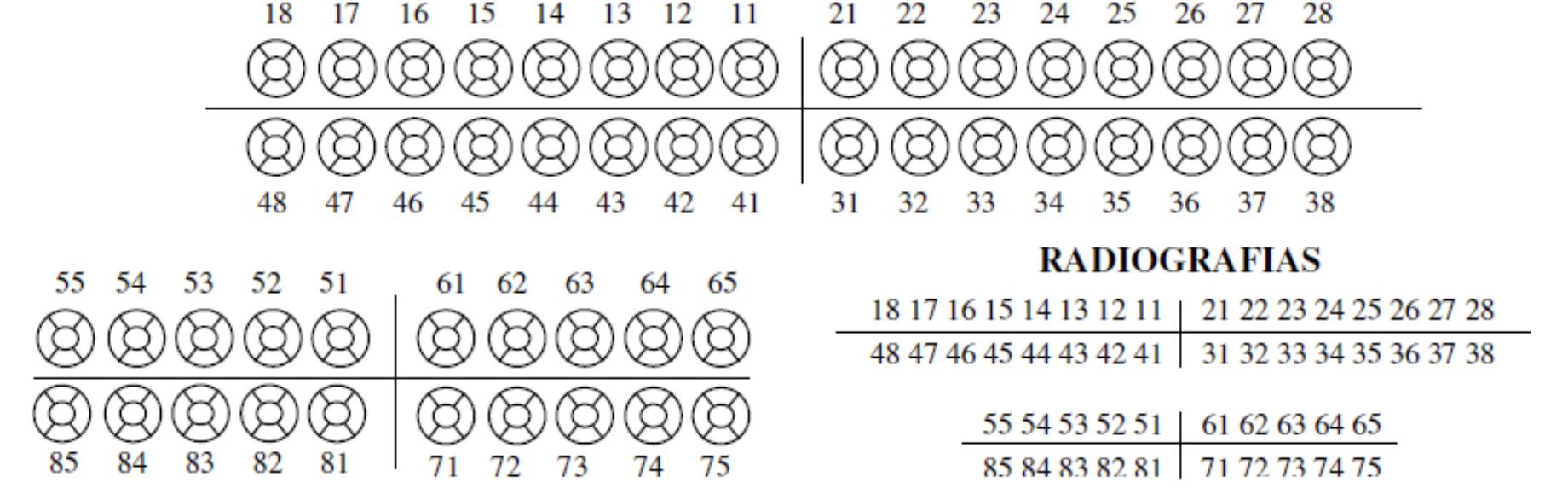 Odontograma: Benefícios, Tipos e Como Preencher - Codental Blog